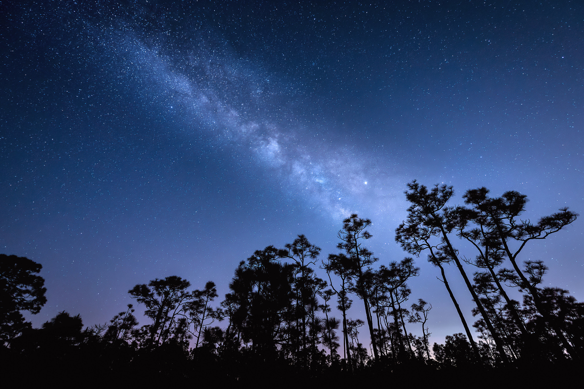 Stargazing in Florida: 5 Off-The-Beaten-Path Spots - Live Wildly