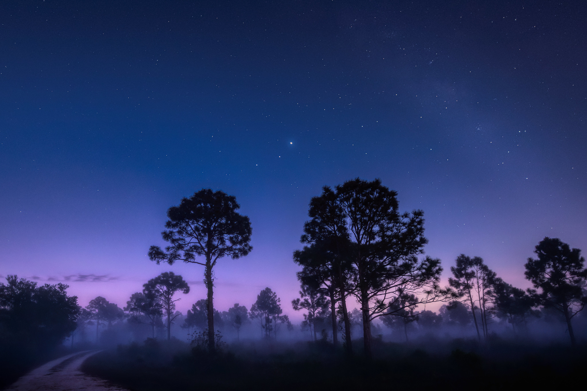 Stargazing in Florida: 5 Off-The-Beaten-Path Spots - Live Wildly