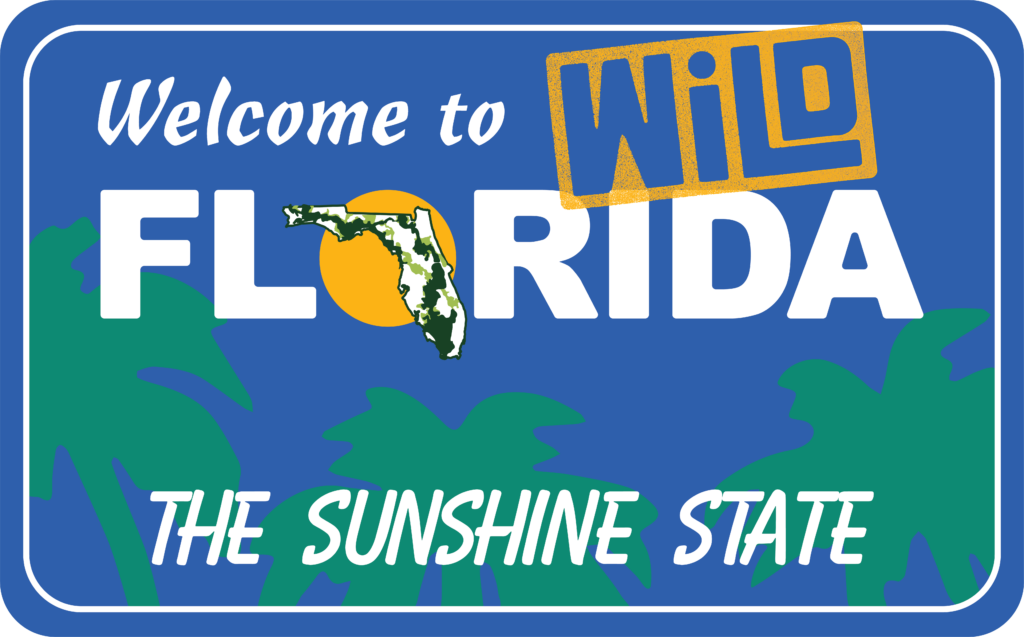Explore the Wild Side of St. Augustine During Sing Out Loud