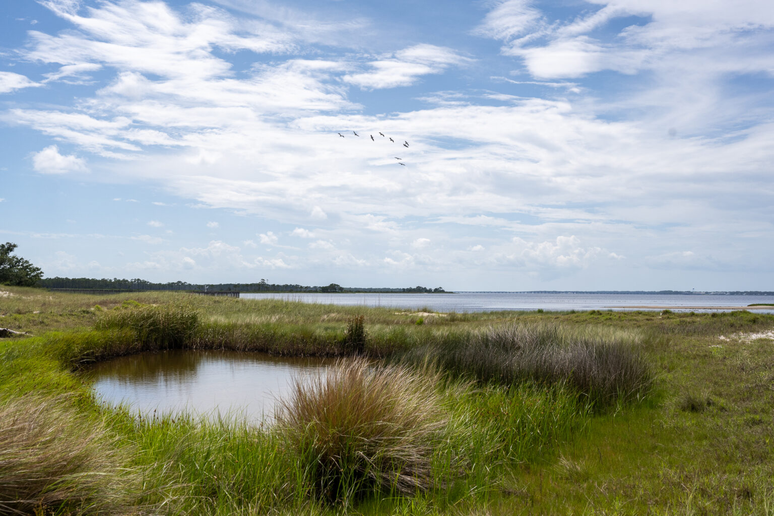 From Trails to Tides: Discover the Wonders of Bald Point State Park ...