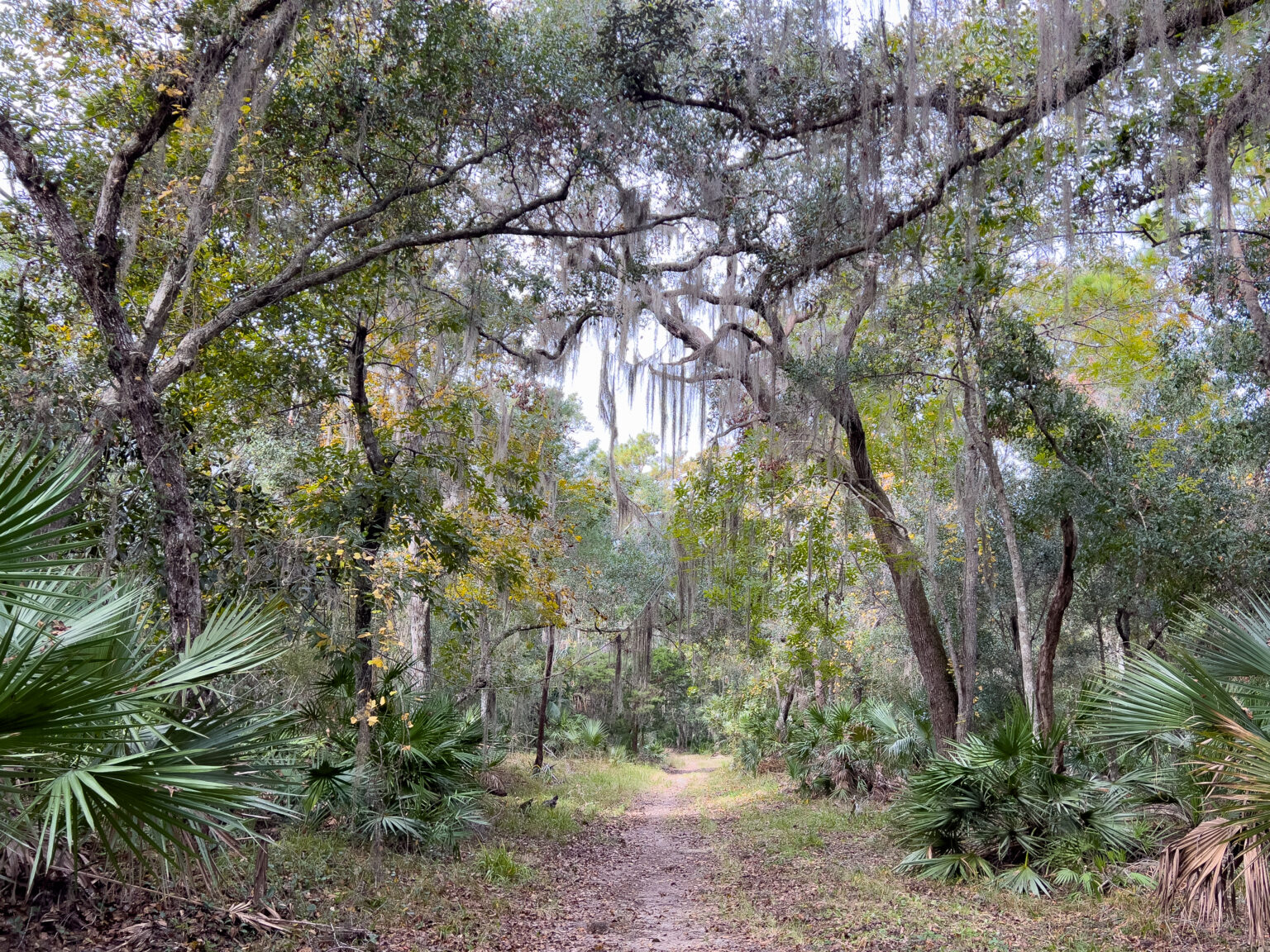 Bulow Plantation Ruins Historic State Park: Witness to Florida's Past ...
