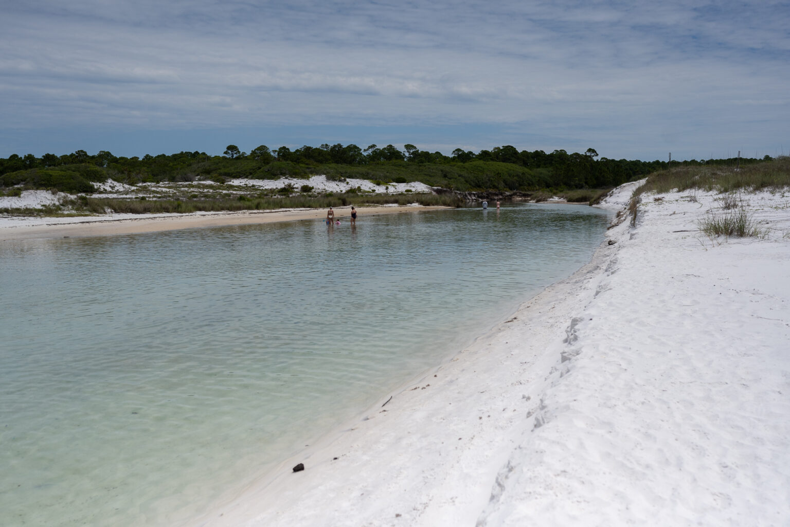 Bask in Wild Florida at Deer Lake State Park - Live Wildly