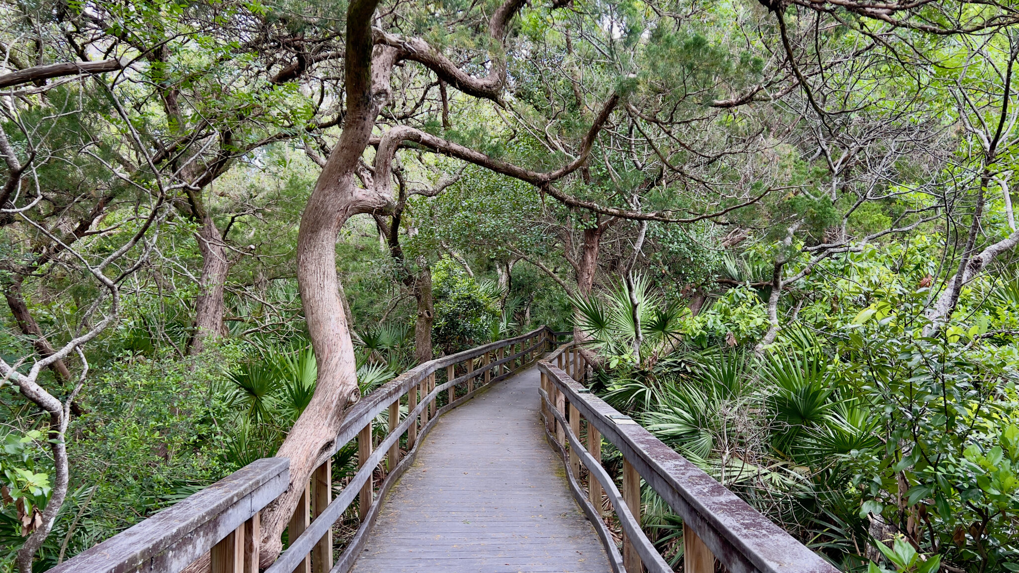 Explore Spanish Florida at Fort Matanzas National Monument - Live Wildly