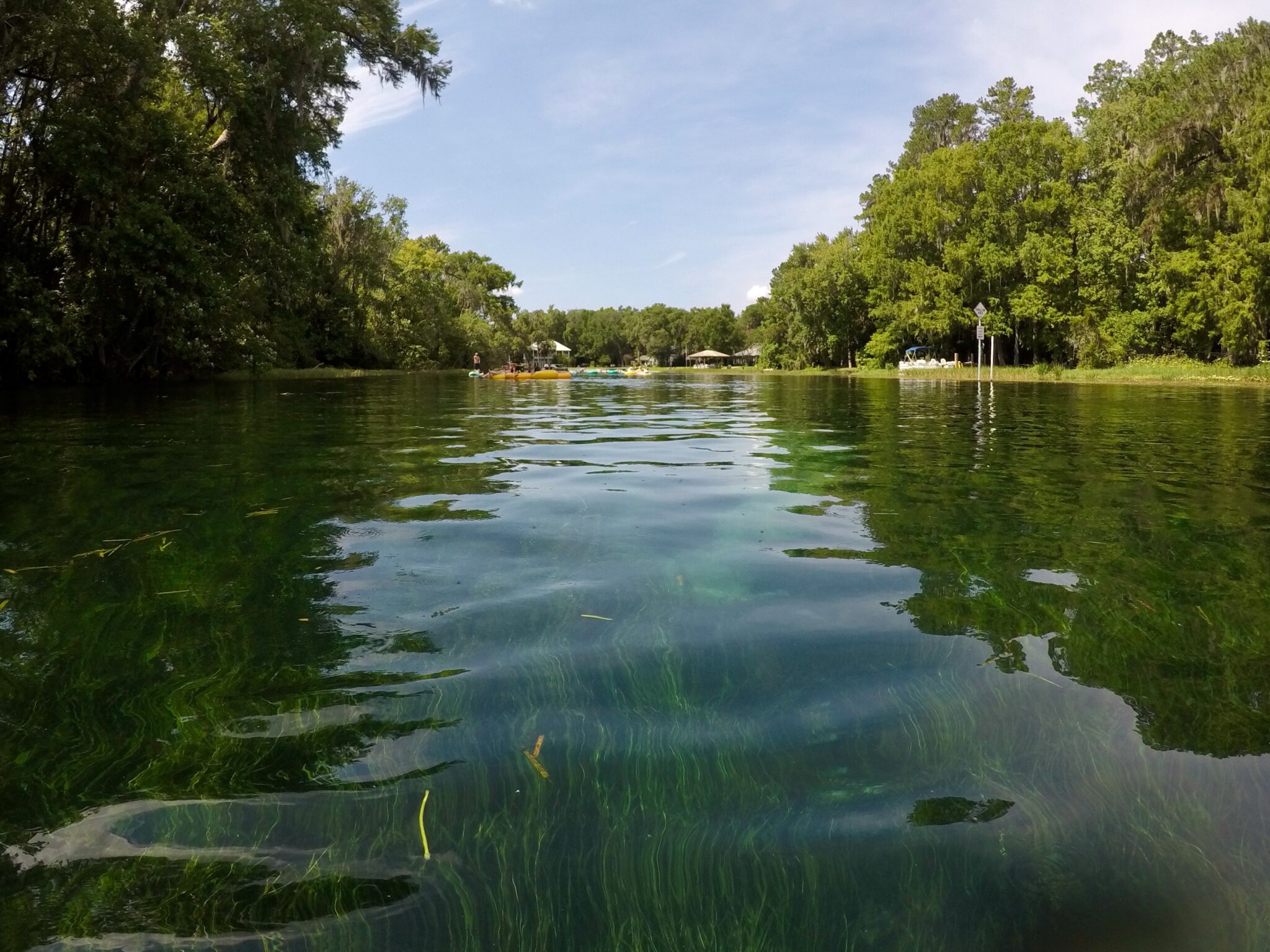 Rainbow Springs: A Visitor's Guide - Live Wildly