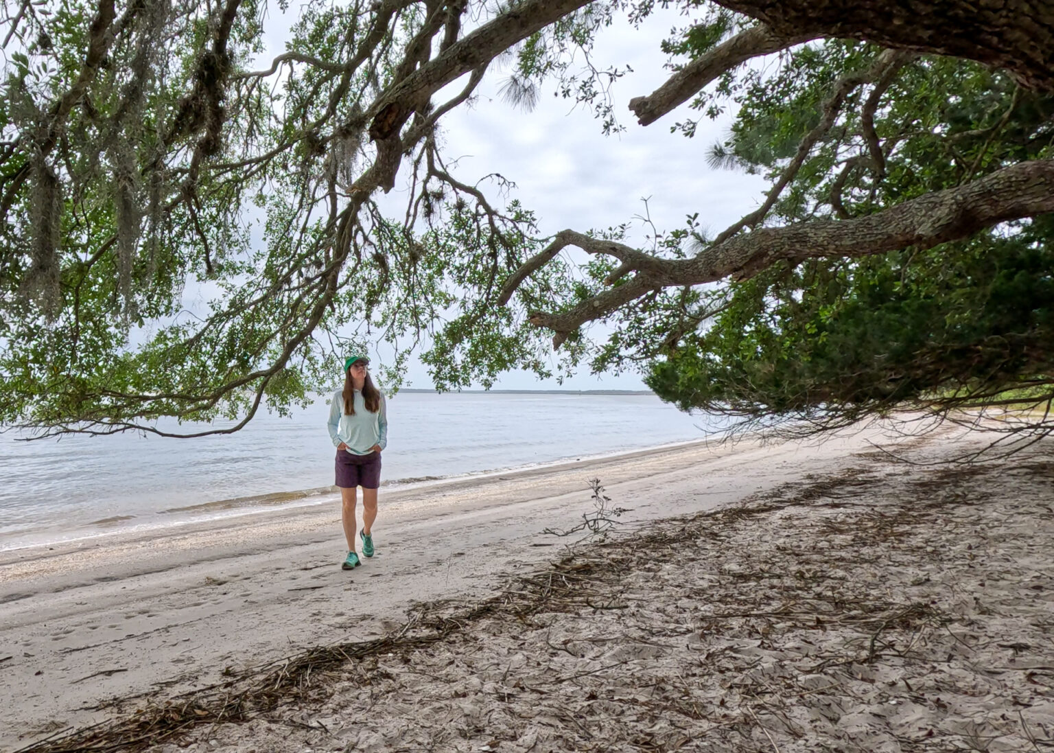 The Wild Wonders of Guana Tolomato Matanzas National Estuarine Research ...