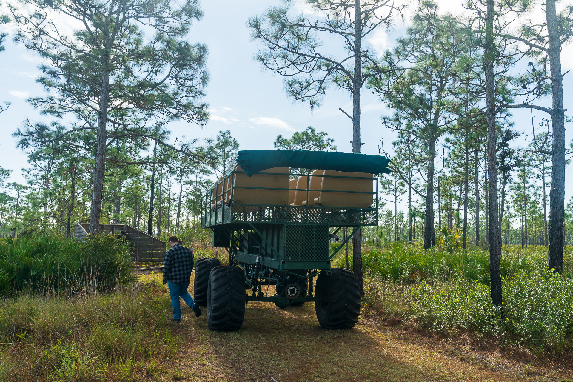 Epic Swamp Buggy Adventure at Disney Wilderness Preserve - Live Wildly
