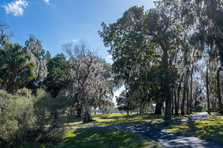 History and Nature at Crystal River Archaeological State Park - Live Wildly