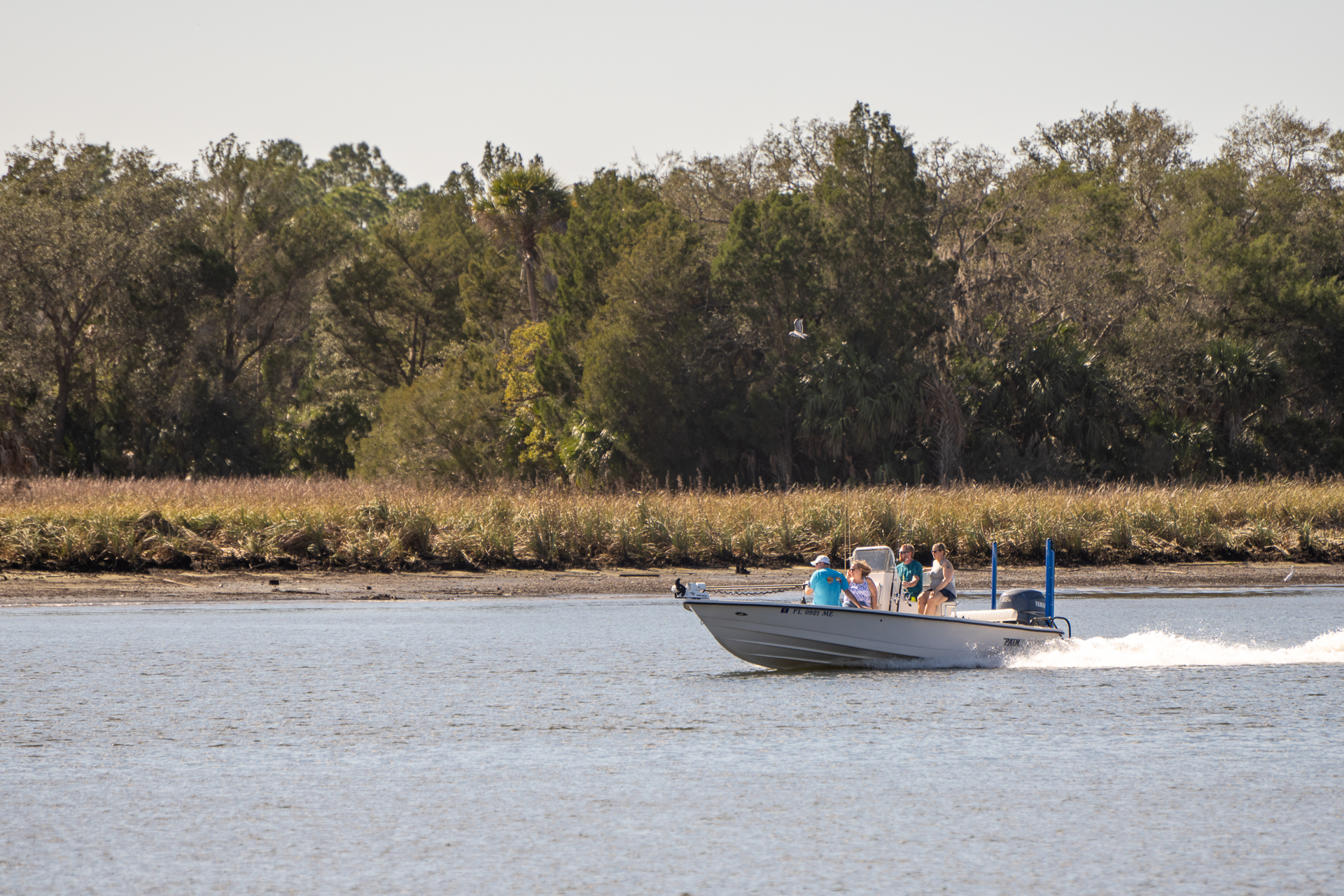 History and Nature at Crystal River Archaeological State Park - Live Wildly