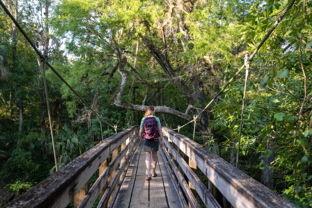 Let the Forest Give You a Hug at Hillsborough River State Park - Live ...