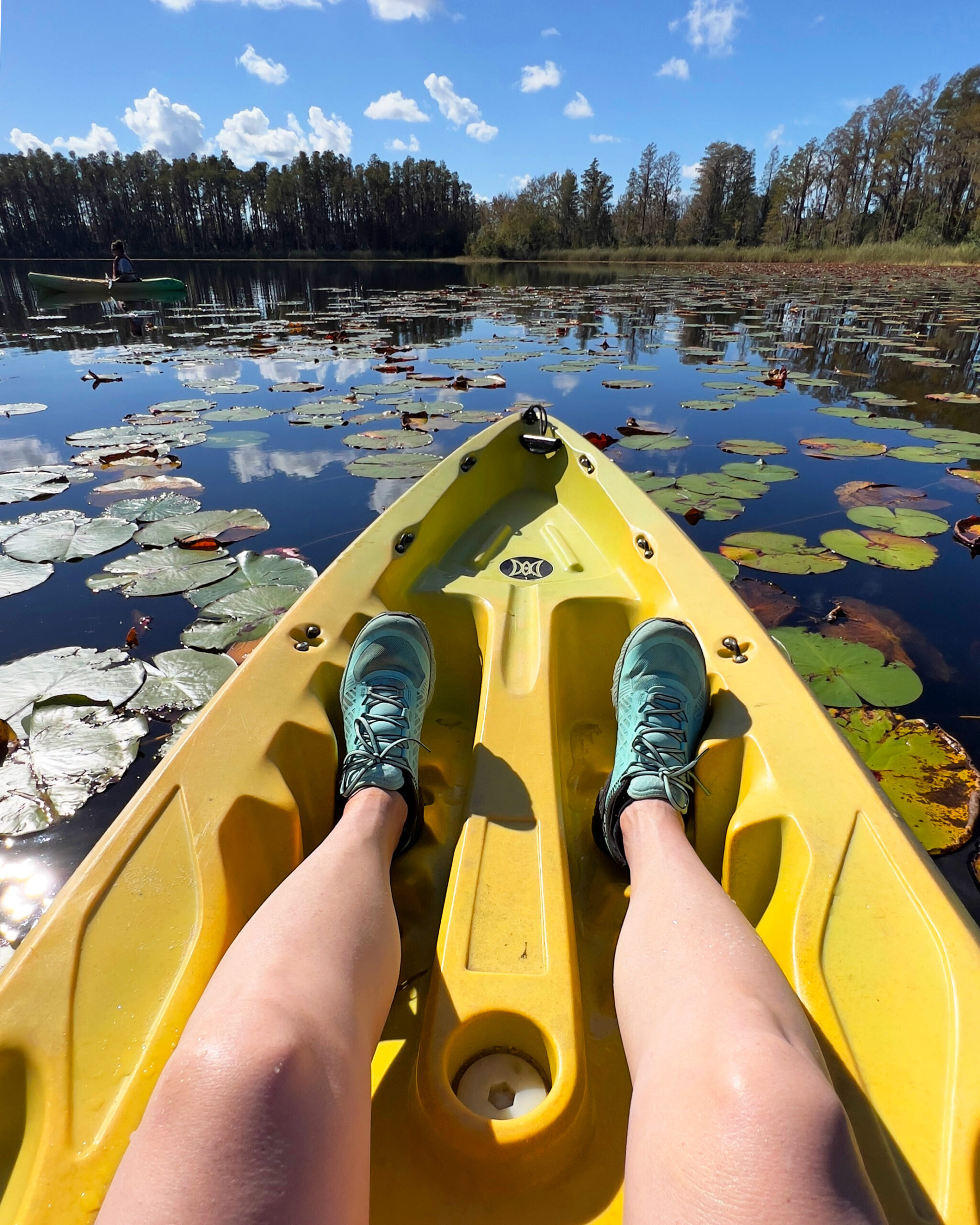 Paddle Adventures at Lake Louisa State Park - Live Wildly