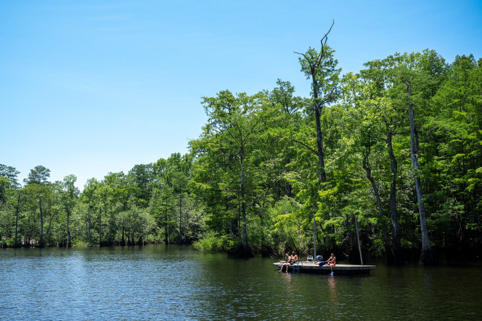 Discover the Wonders of Morrison Springs - Live Wildly