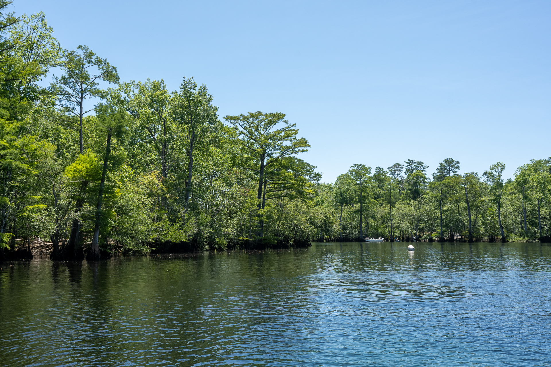 Discover the Wonders of Morrison Springs - Live Wildly