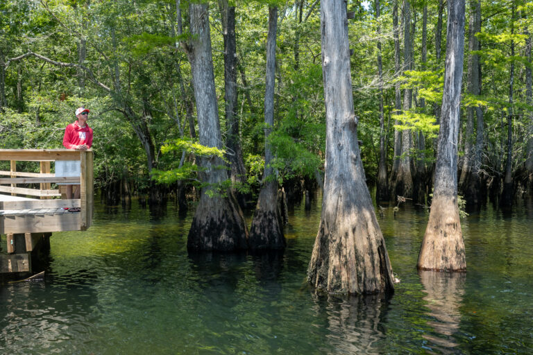 Discover the Wonders of Morrison Springs - Live Wildly