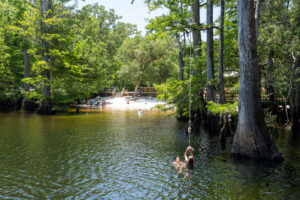 Discover the Wonders of Morrison Springs - Live Wildly