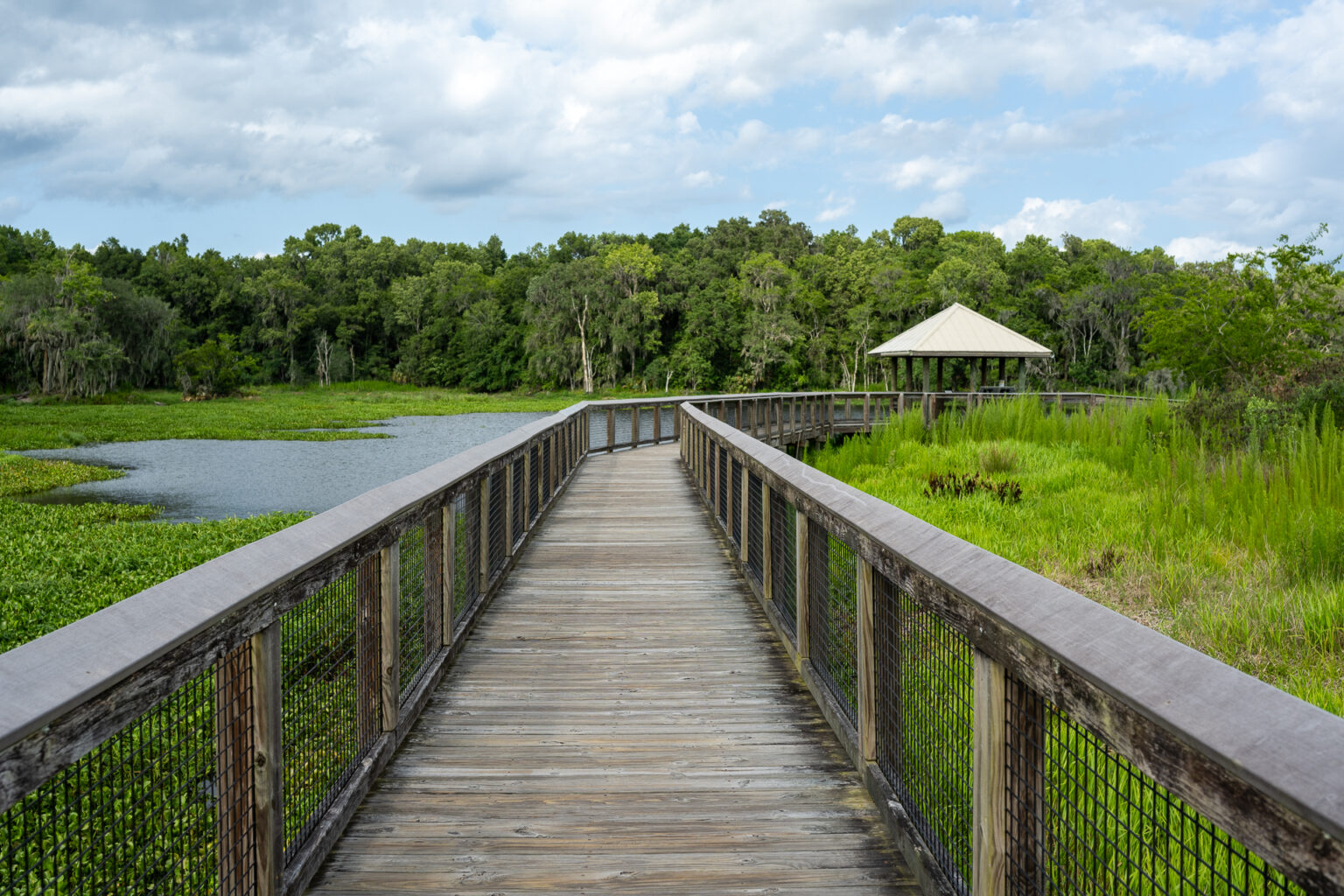 5 Ways to Discover the Wonders of Paynes Prairie Preserve State Park ...
