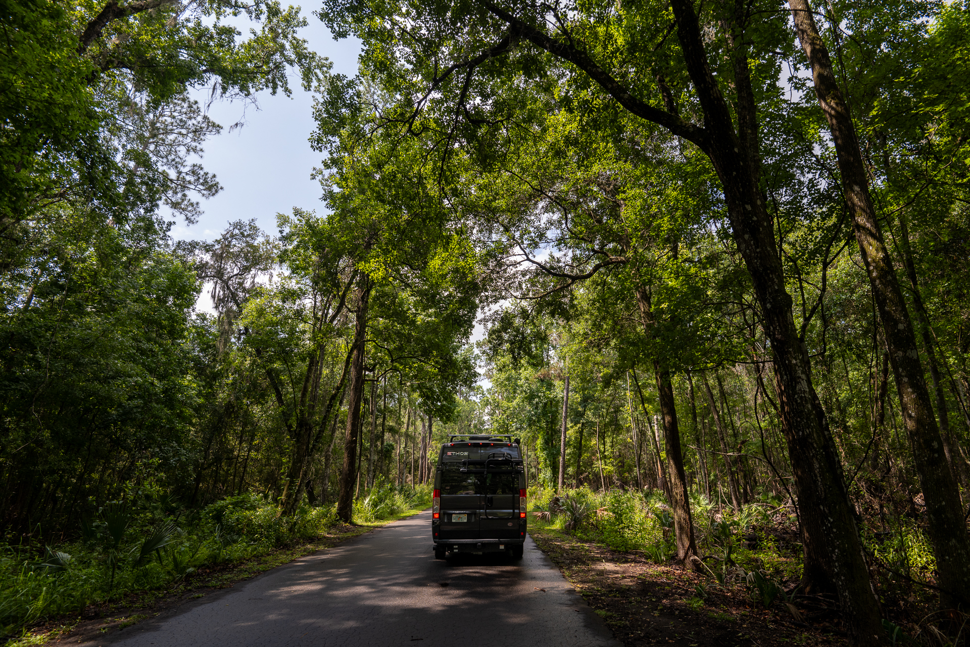 5 Ways to Discover the Wonders of Paynes Prairie Preserve State Park ...