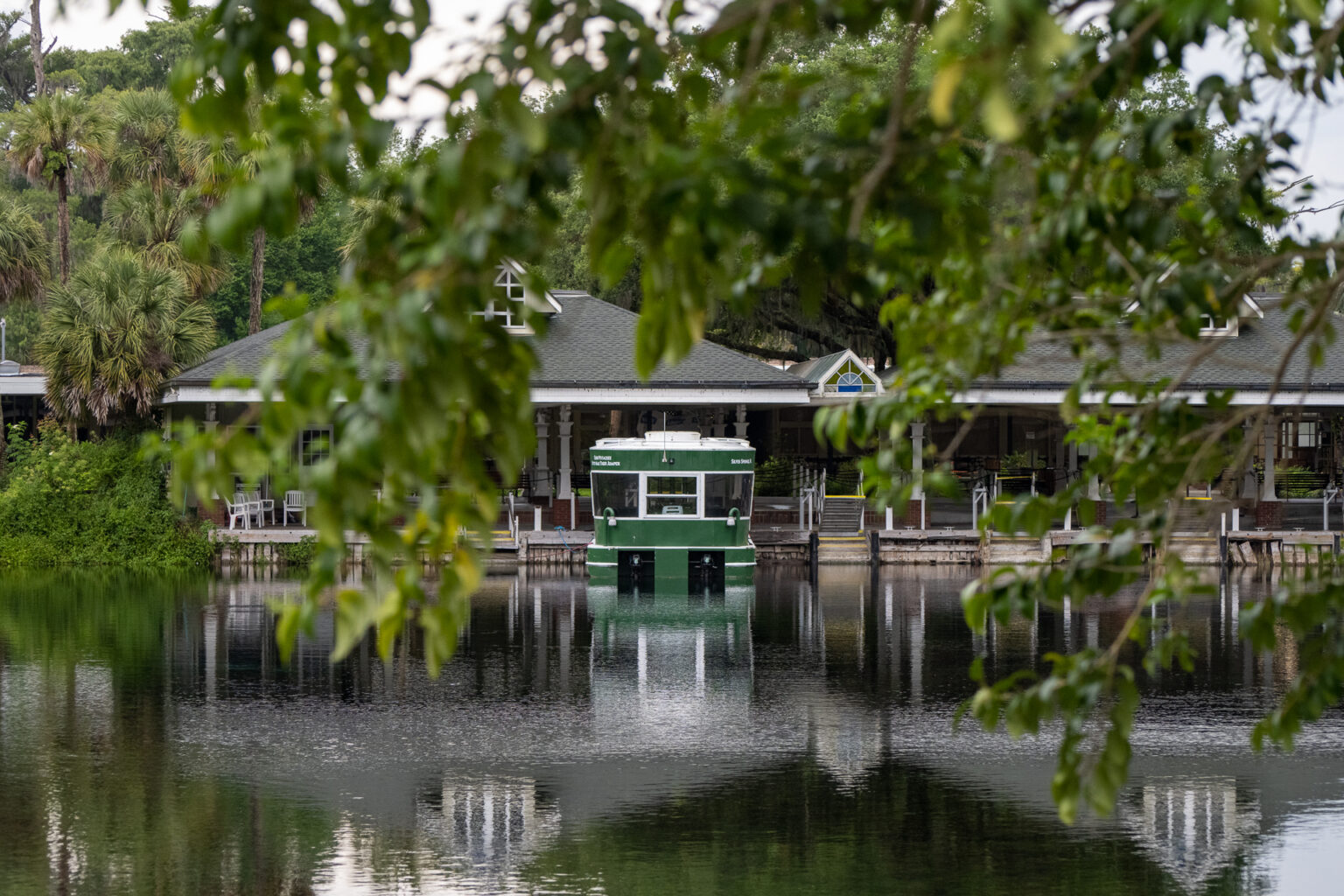 Silver Springs State Park: Glass-Bottom Boats, Kayaking & Trails - Live ...