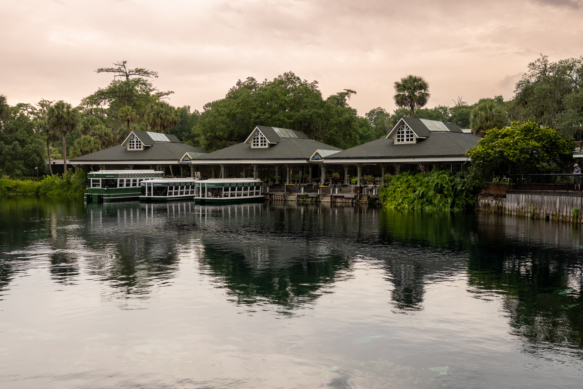 Silver Springs State Park: Glass-Bottom Boats, Kayaking & Trails - Live Wildly