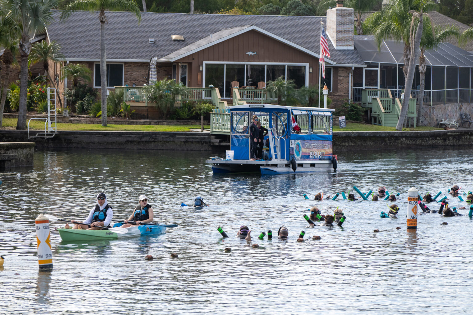Hang With the Manatees at Three Sisters Springs - Live Wildly