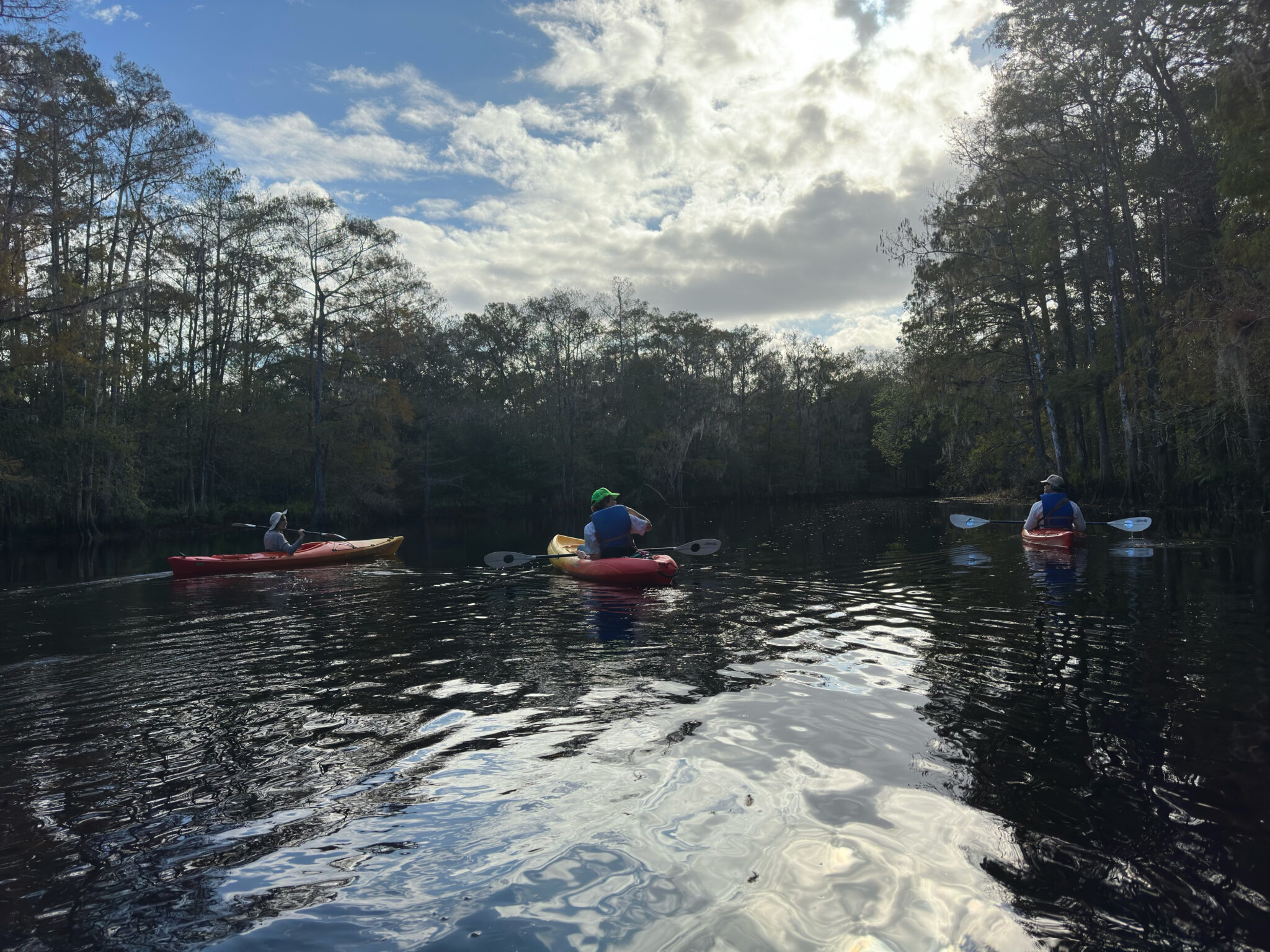 Journey Through the Wild: Paddling Fisheating Creek - Live Wildly