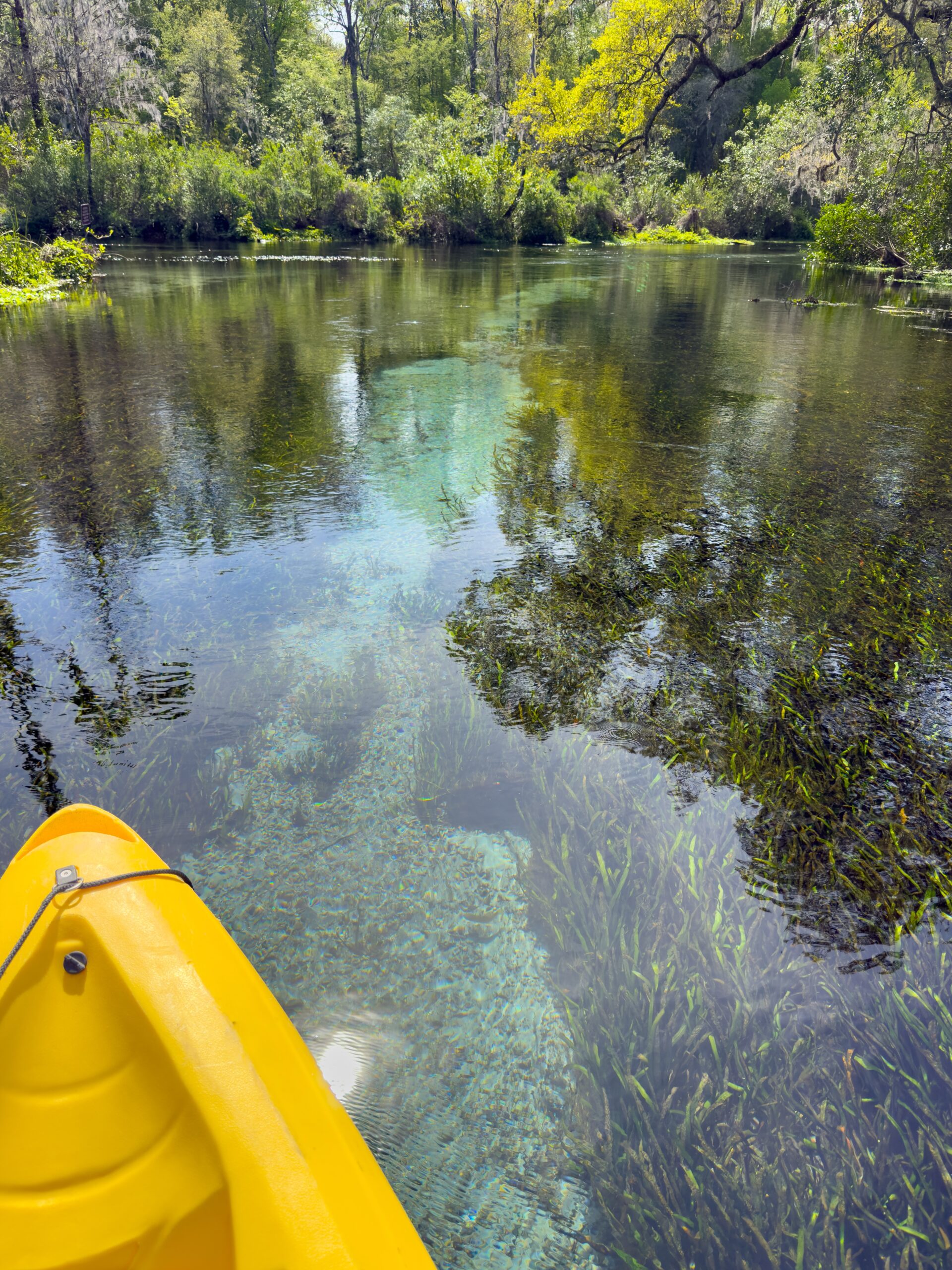 Ichetucknee Springs State Park: Florida’s Tubing and Paddling Paradise ...