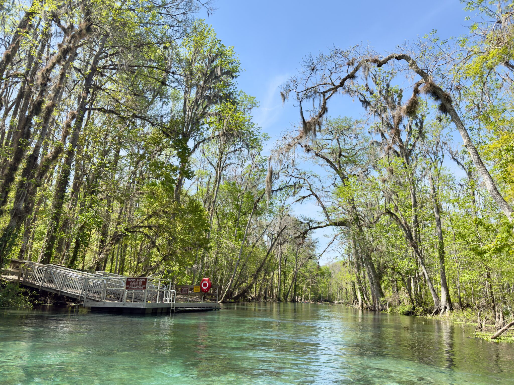 Ichetucknee Springs State Park: Florida’s Tubing and Paddling Paradise ...