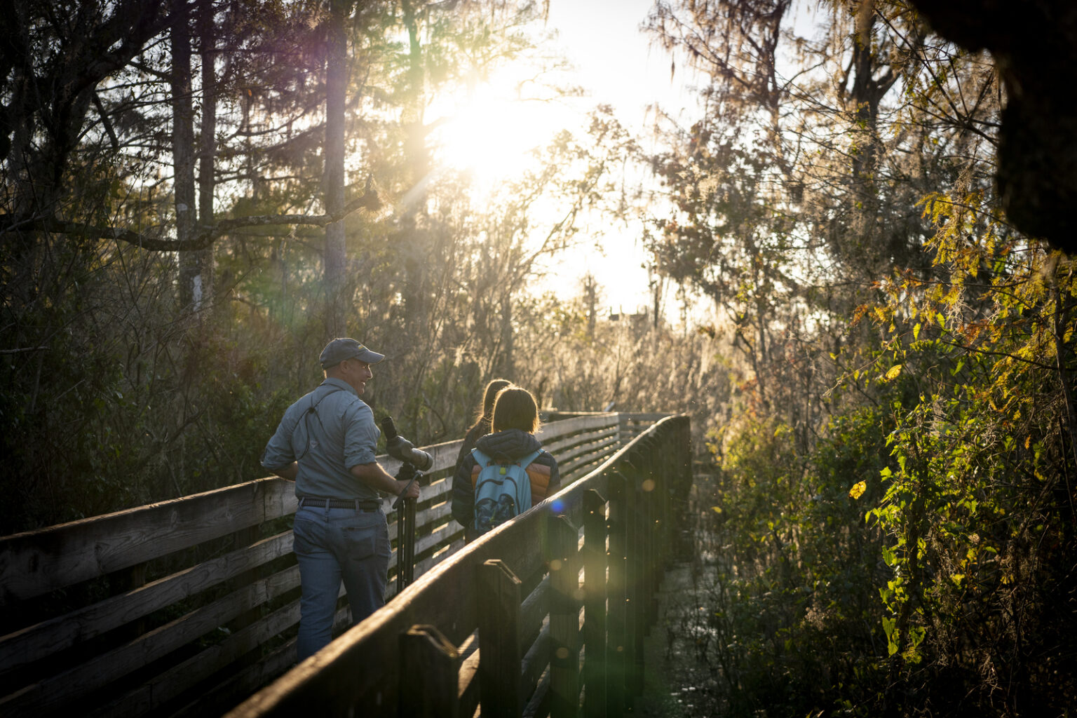 5 Ways to Stop Scrolling and Explore Wild Florida - Live Wildly