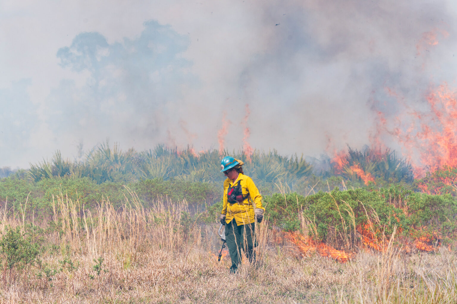 Through Fire and Smoke: Documenting the All-Female Burn Crew in Florida ...