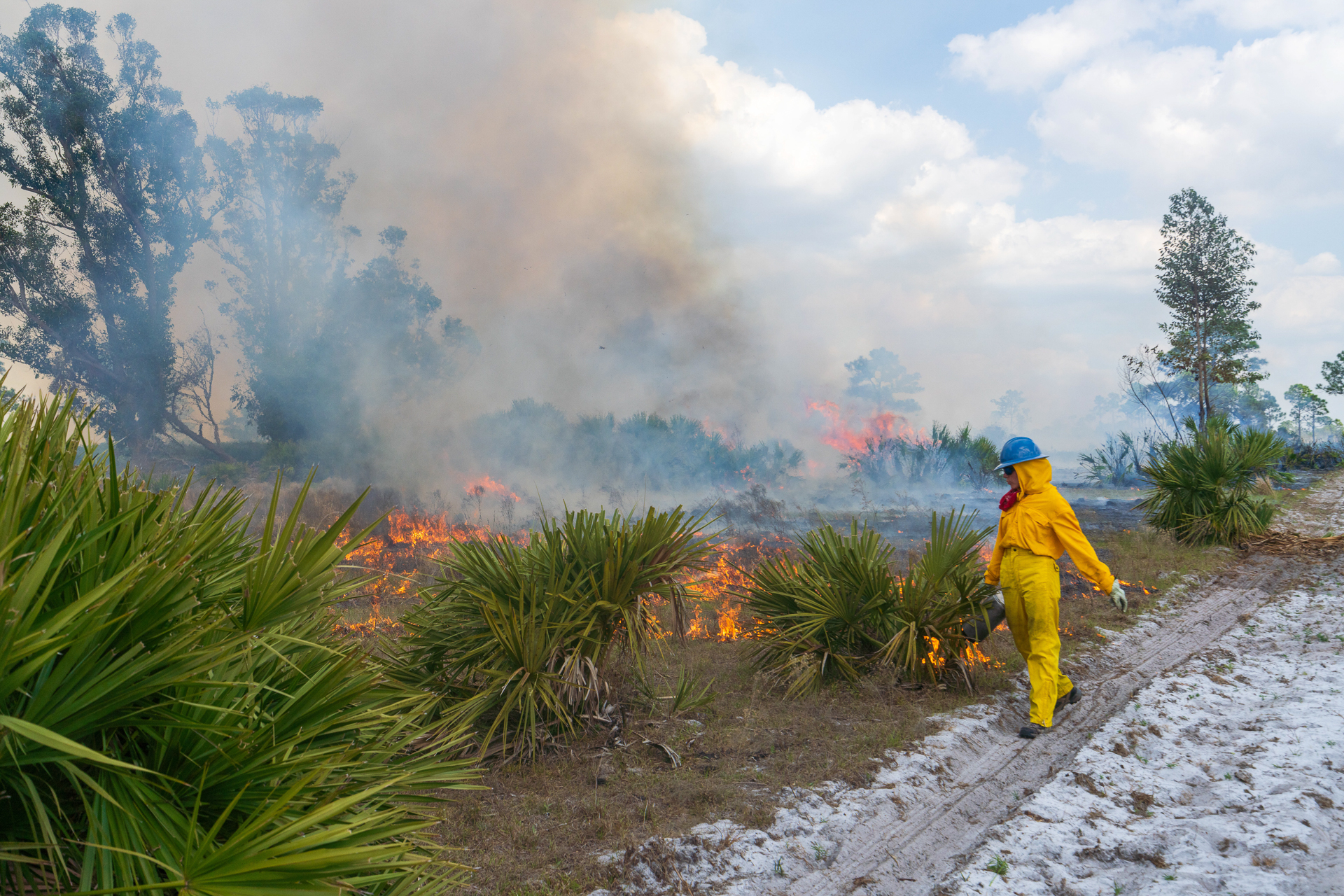 Through Fire and Smoke: Documenting the All-Female Burn Crew in Florida ...