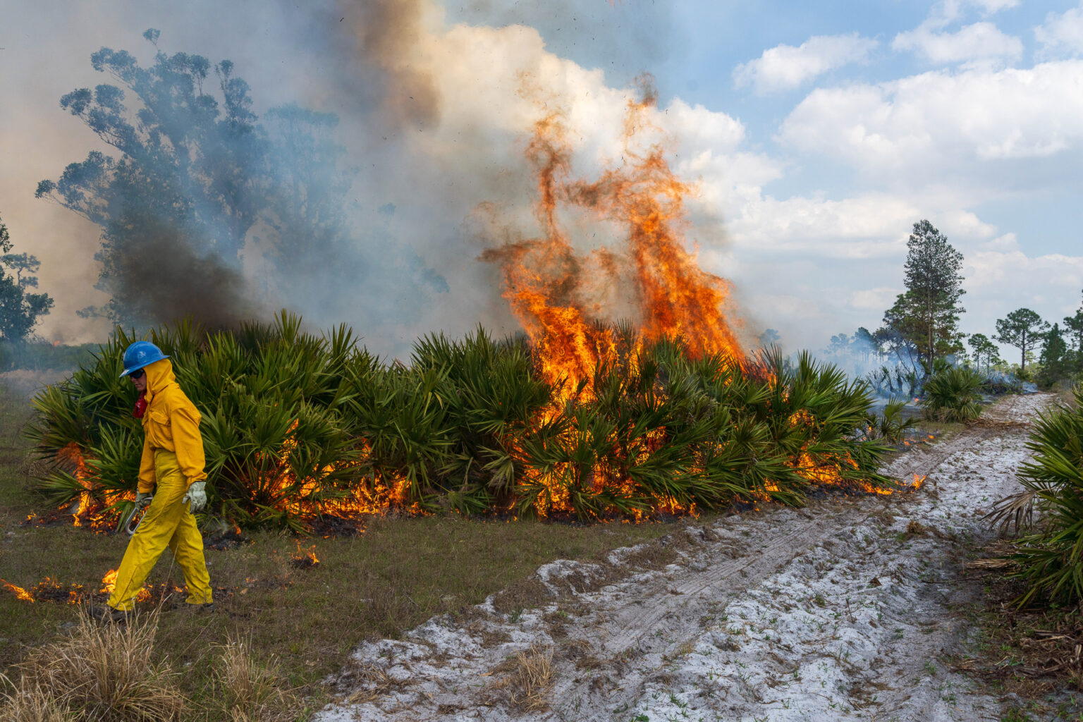 Through Fire and Smoke: Documenting the All-Female Burn Crew in Florida ...