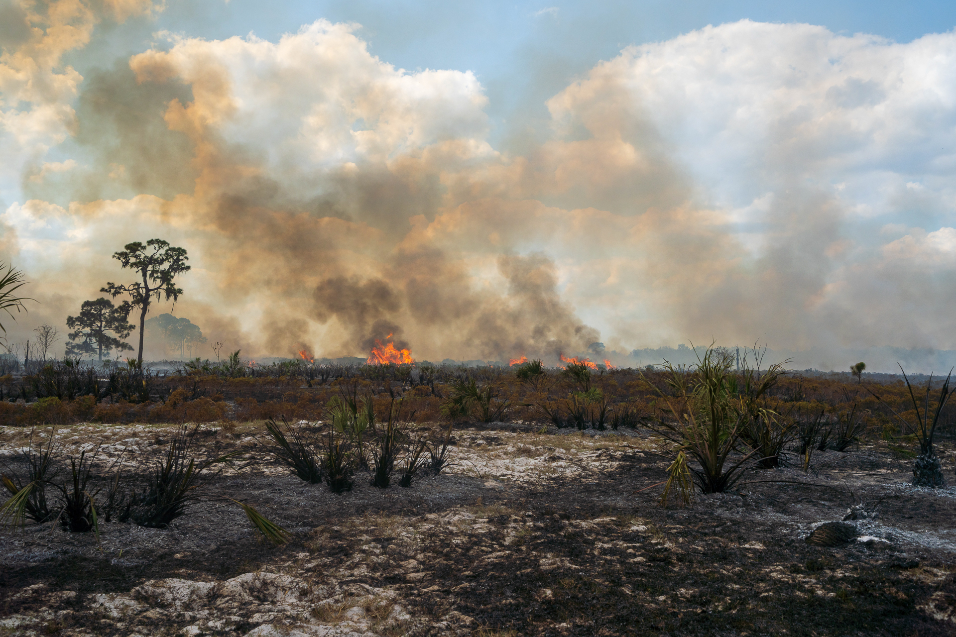 Through Fire and Smoke: Documenting the All-Female Burn Crew in Florida ...