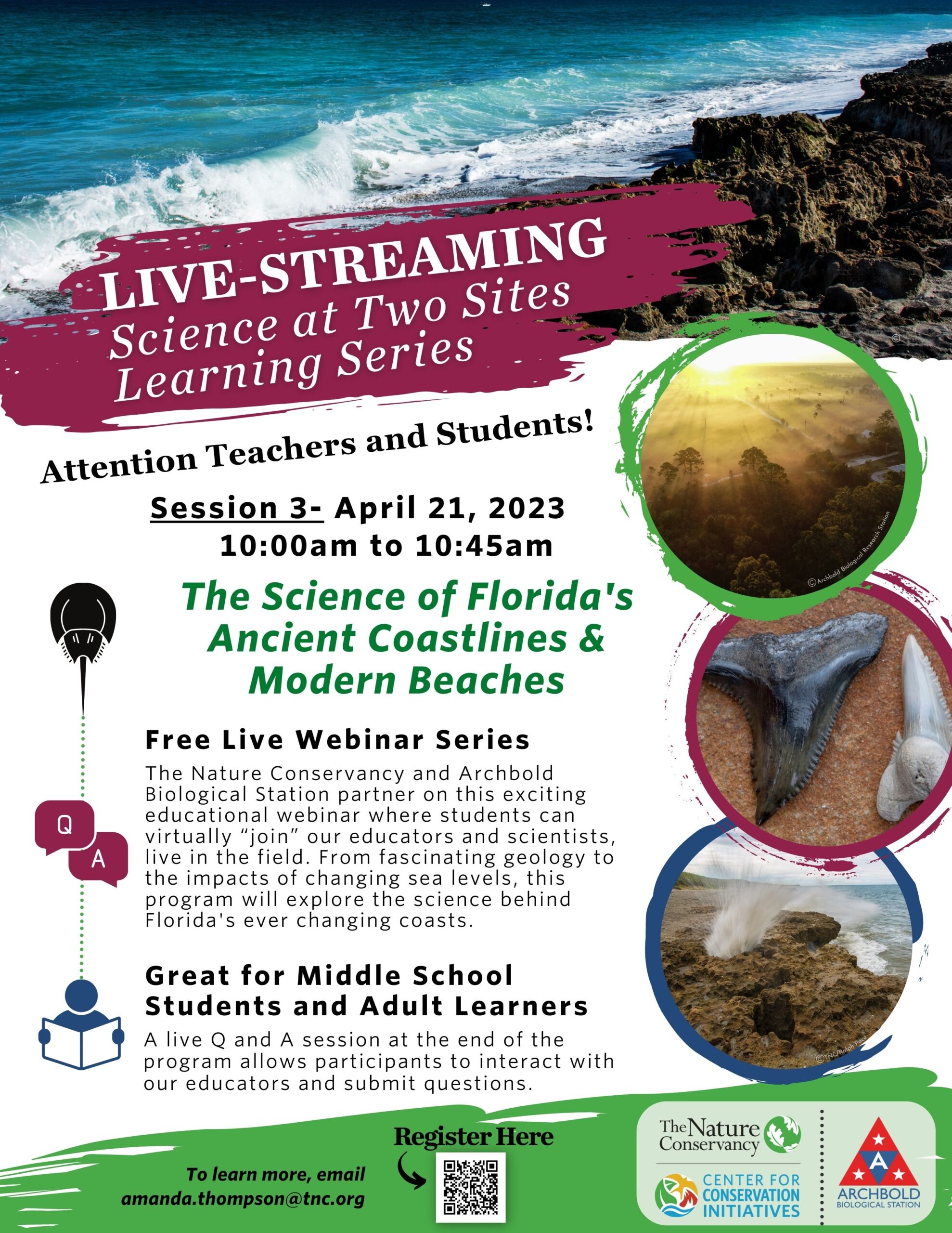 The Science of Florida's Ancient Coastlines & Modern Beaches - Live Wildly