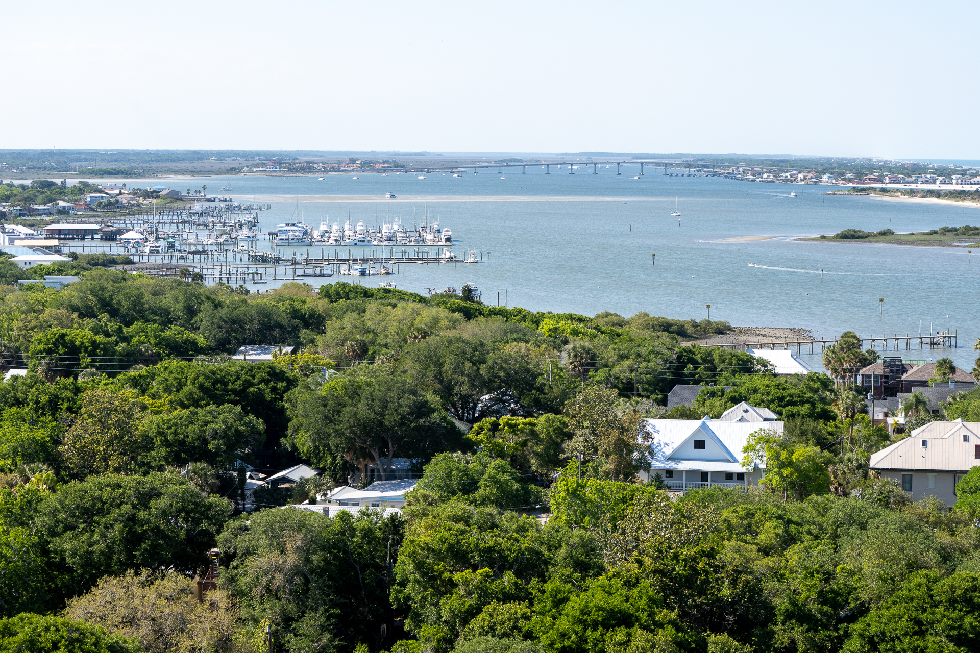 An Unparalleled View of Wild Florida at the St Augustine Lighthouse ...