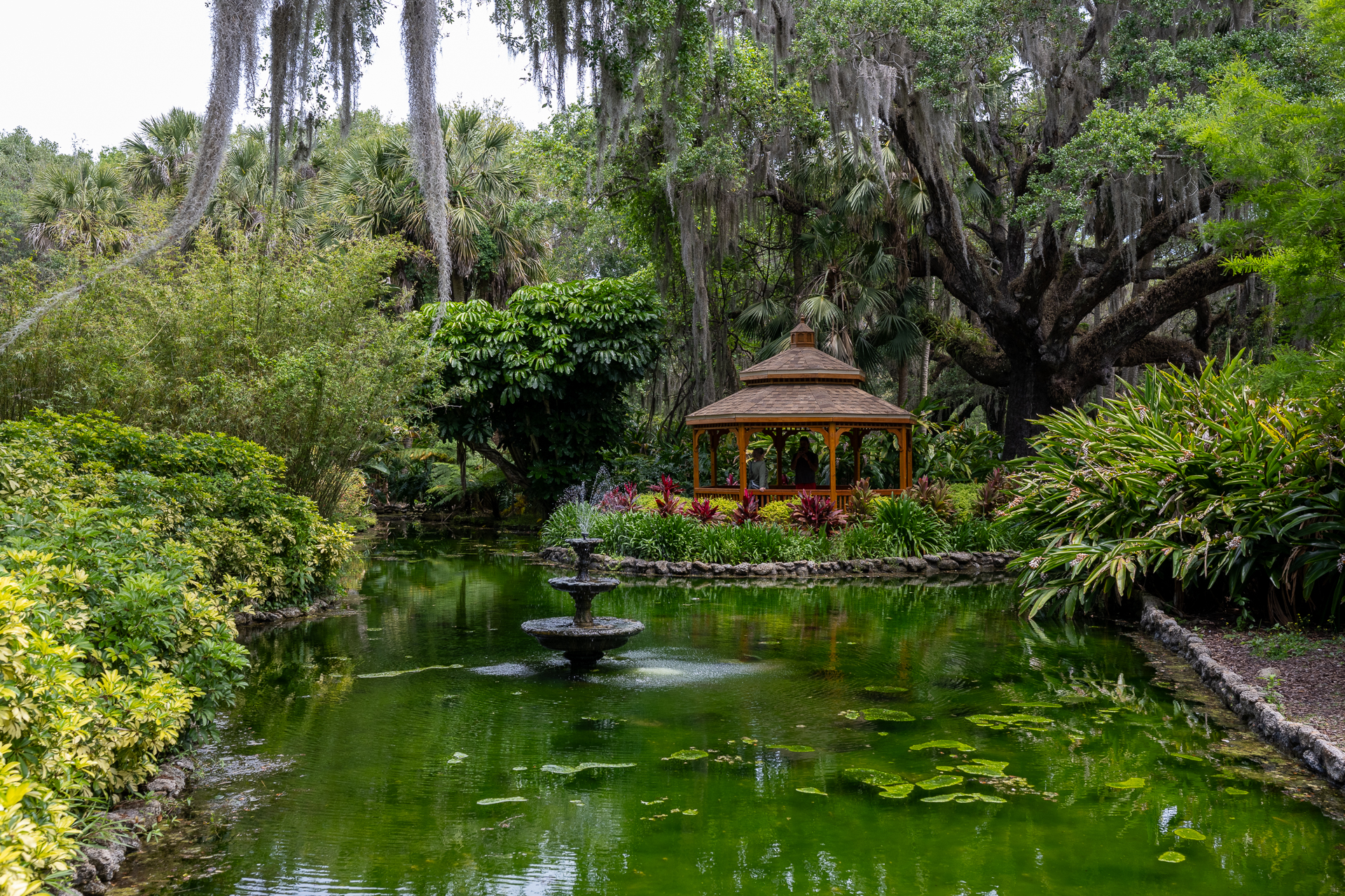 Quiet Adventure at Washington Oaks Gardens: Formal Gardens, Tidepools ...