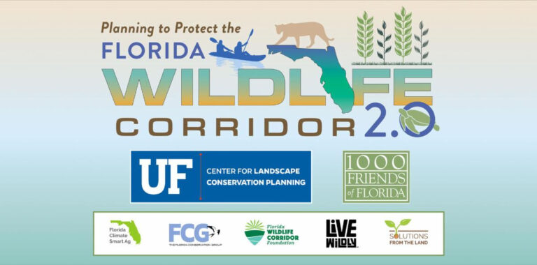 Foundation - Live Wildly