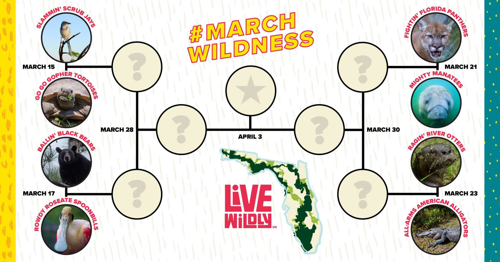 Meet 8 Wild Animals of the Corridor - Live Wildly