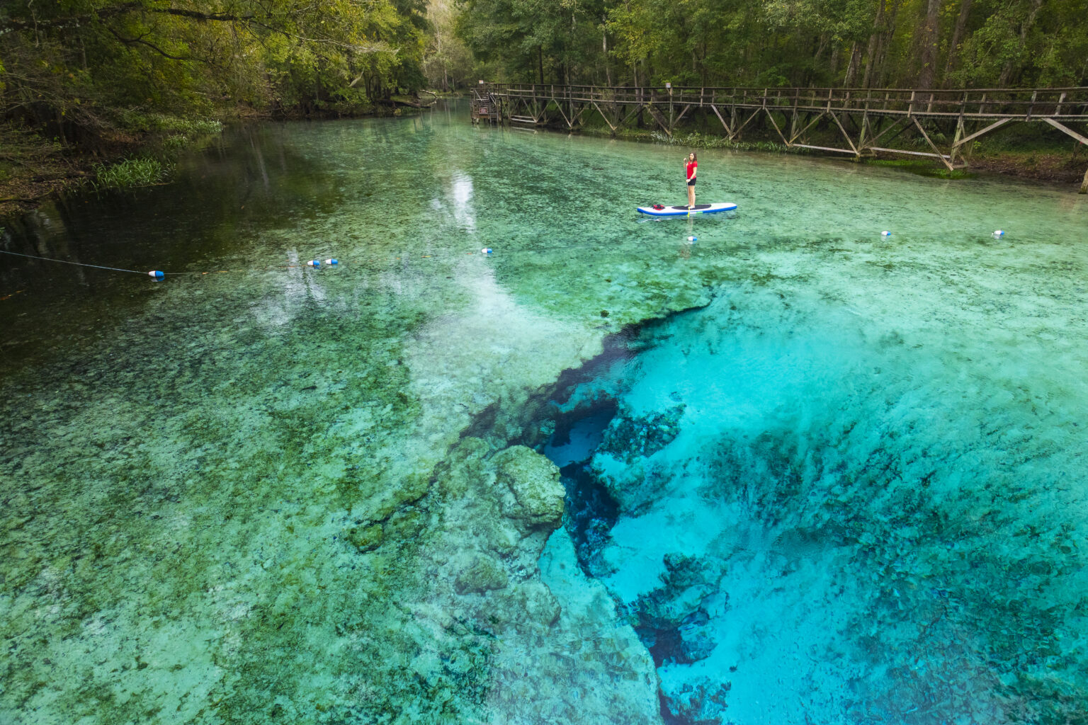 The Unexpected Benefits of a Protected Corridor - Live Wildly