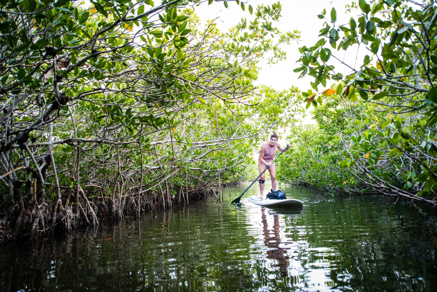Explore Seven of Florida's Best Paddleboarding Spots - Live Wildly