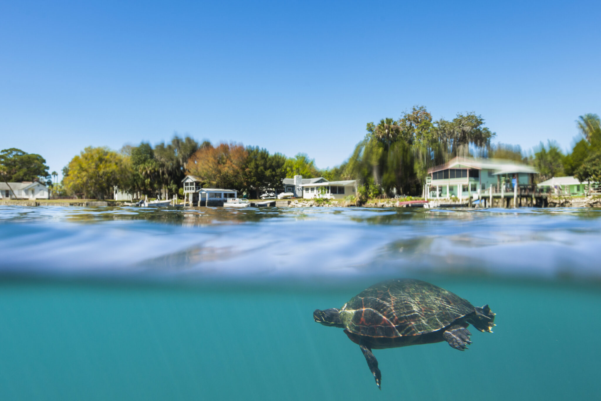 The Unexpected Benefits of a Protected Corridor - Live Wildly